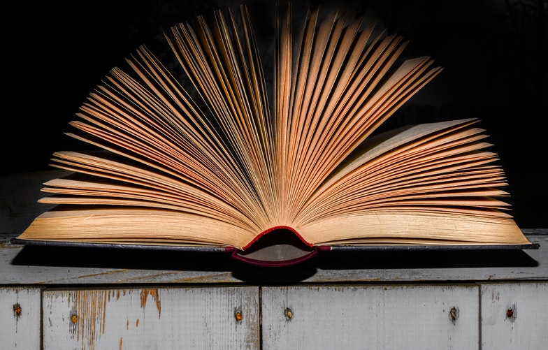 How to Download the 10th Class Computer Book PDF – Step-by-Step Free Guide